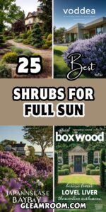 25 Best Shrubs for Full Sun (Evergreens, Flowering, Perennials ...